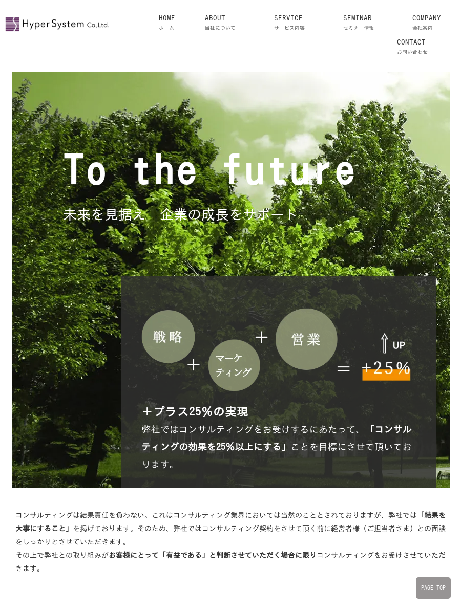 株式会社ハイパーシステム